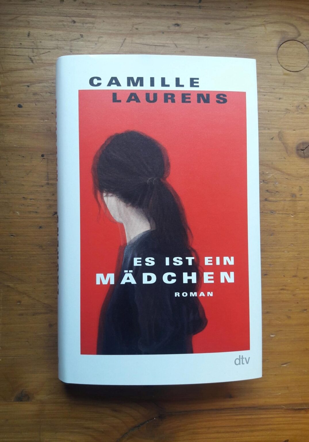 Camille Laurens: Es ist ein Mädchen – Labyrinth